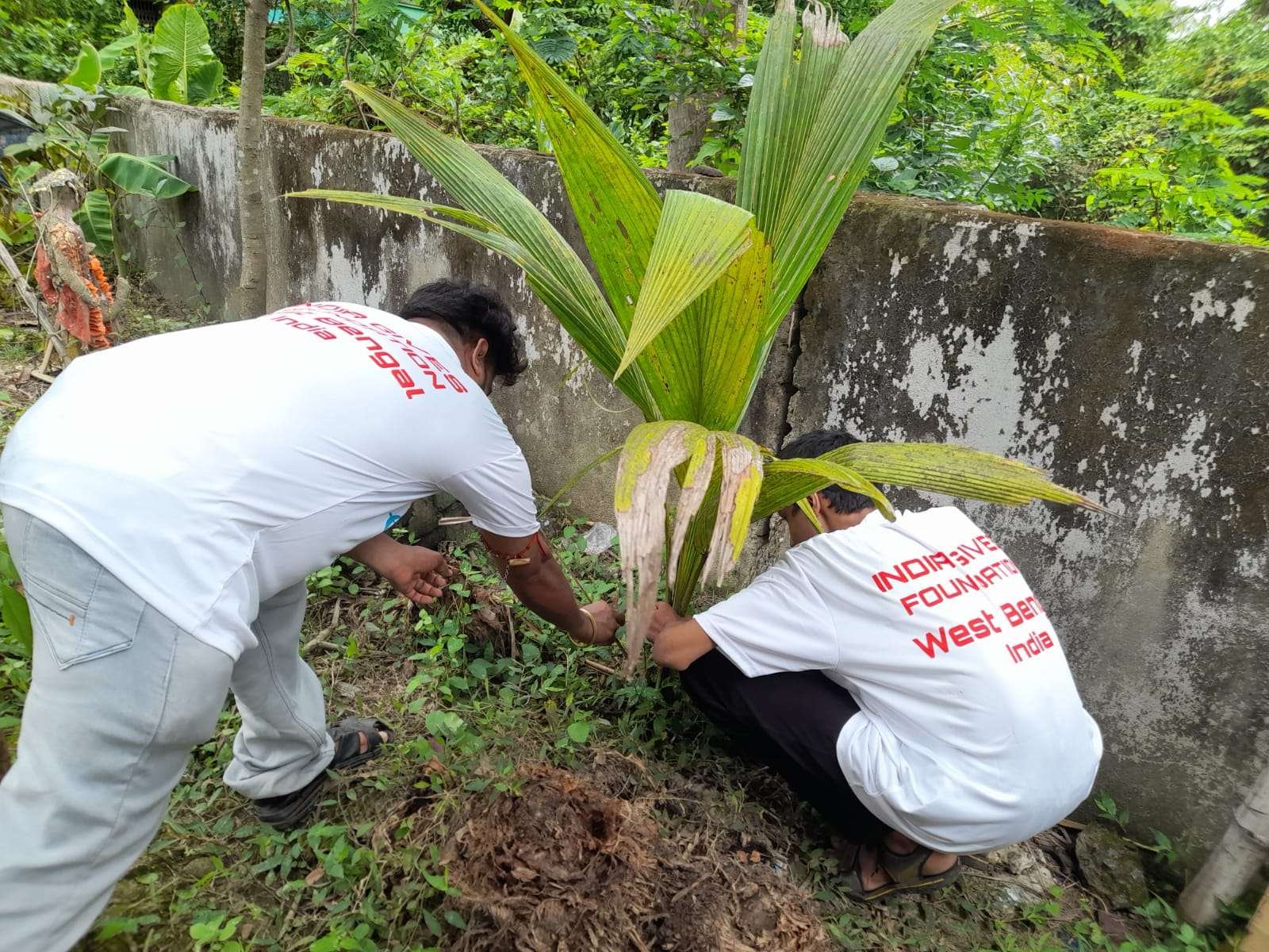 WORLD ENVIRONMENT DAY - India Gives Foundation