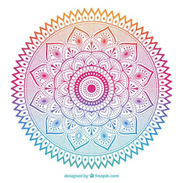A VIRTUAL SUMMER CAMP - India Gives Foundation